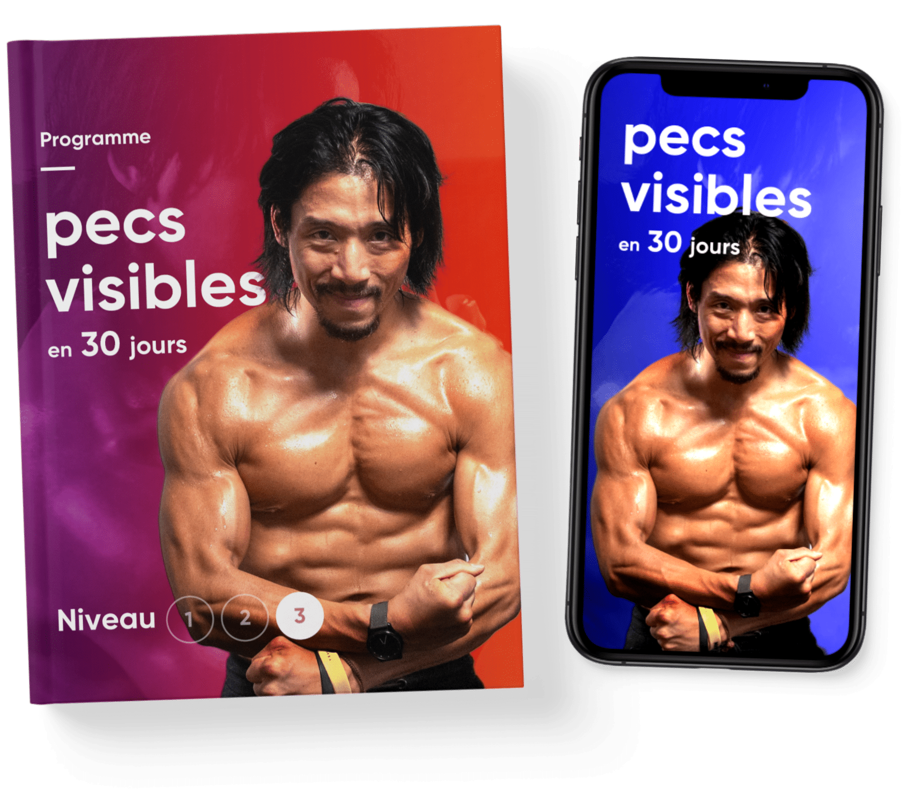 Programme - Pecs visibles - Alex Levand - Coach sportif & nutrition